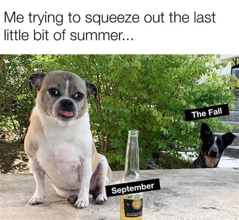 23 September Memes To Kick Off Spooky Season