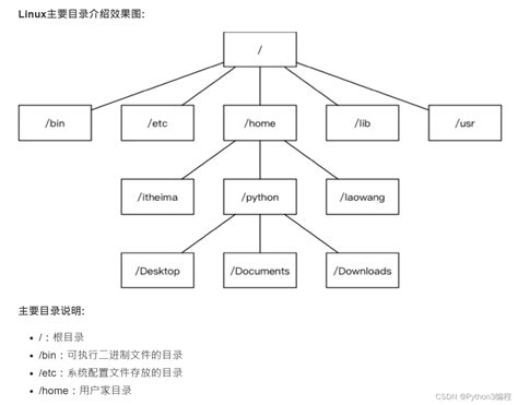 Python网络安全（学习笔记）2 Csdn博客