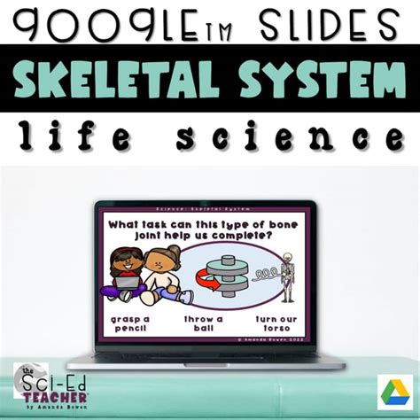 Function For Skeletal System Digital Activity Tpt