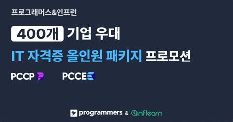 프로그래머스 인프런 it 역량 자격증 올인원 패키지 과정 출시
