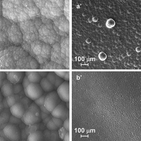 Sem Images At Different Magnifications Of Bilayer Coating A Download Scientific Diagram