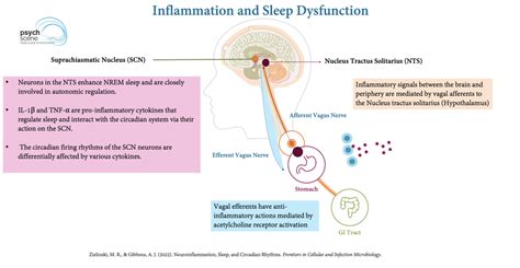 Neurobiology And Neuropsychiatry Of Sleep Translational Aspects