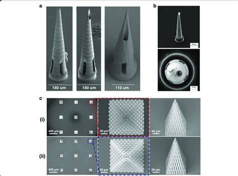 Microneedle Array Fabrication Development By 2pp A Microneedles Download Scientific Diagram