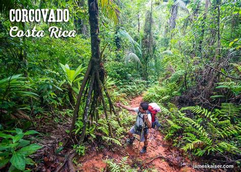 2024 Guide To Corcovado National Park Costa Rica • James Kaiser