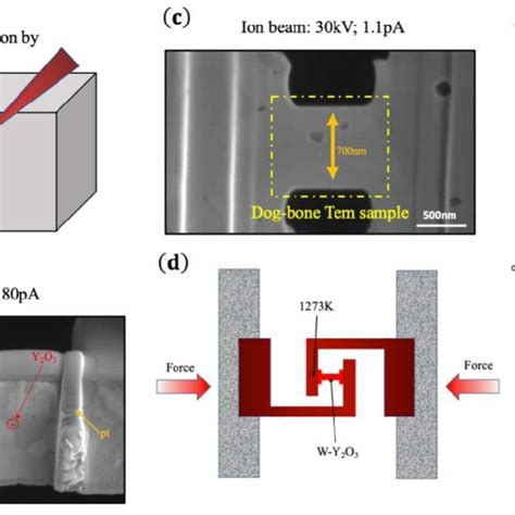 Preparation And Characterization System Of In Situ W Y 2 O 3 Tem Sample