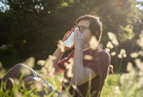 Rinitis Alérgica Durante El Cambio De Estación Cómo Cuidarse Y Cuáles Son Los Síntomas Infobae