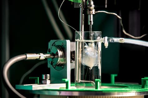 Bioreactors In Tissue Engineering Institute Of Medical Biotechnology