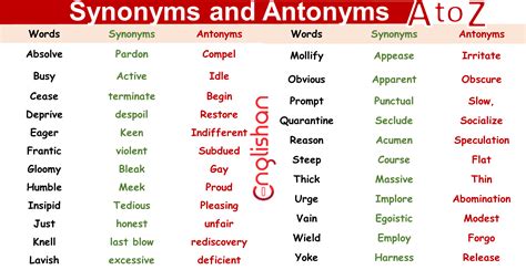 Synonyms And Antonyms 100 Essential Vocabulary Words