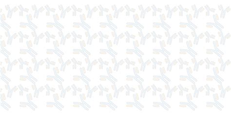 Hrp Secondary Antibodies