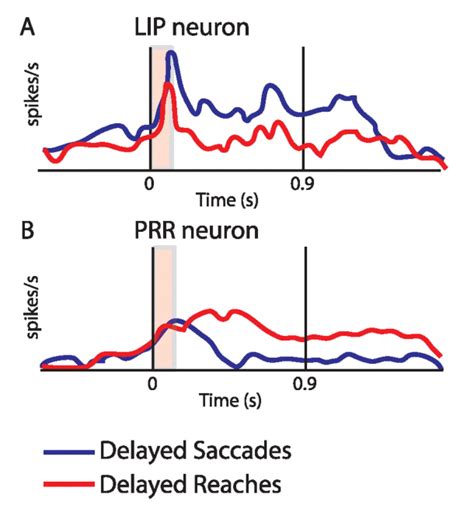 Table 1 From Cortical Oscillatory Activity In Human Visuomotor