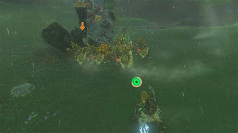 Boss Bokoblin Has No Chill Rtearsofthekingdom