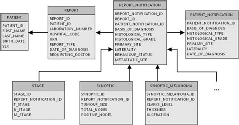 Cancer Notifications Database Output Schema Portraying The Range Of