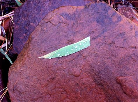 무료 이미지 록 목재 잎 흙 자료 지질학 조각 2010365 2592x1936 577805 무료 이미지 Pxhere