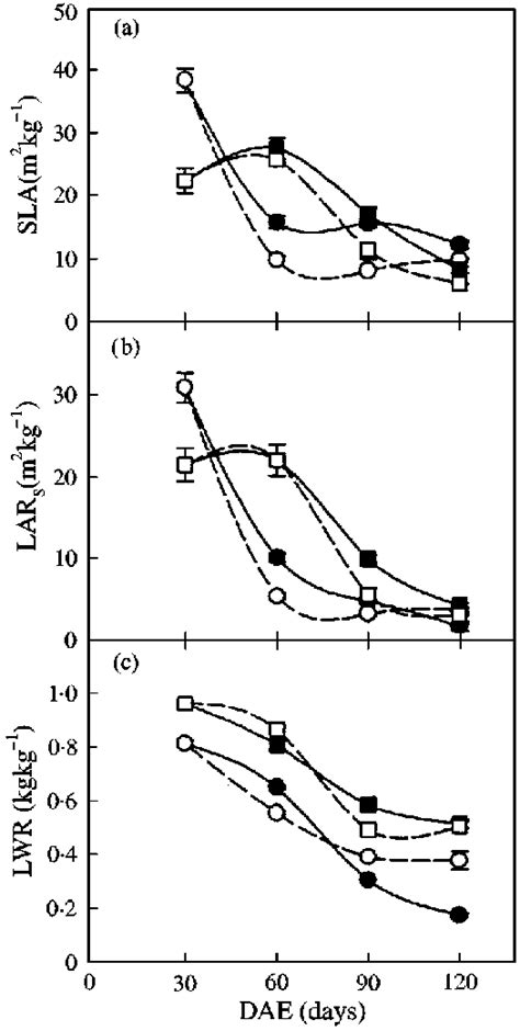 A Specific Leaf Area B Leaf Area Ratio LAR And C Leaf Weight Download Scientific