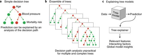 Tree Based Models In Machine Learning Simplified For Beginners Jgumqo