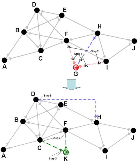 Network Evolution Model Example Download Scientific Diagram