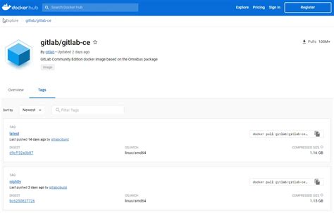Gitlab Ci 實作記錄1 使用 Docker 在同台主機運行 Gitlab 與 Gitlab Runner 伊恩的開發狂想