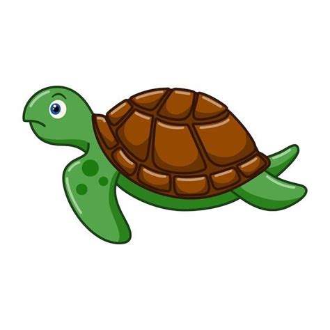 Turtle Drawing Reference Turtle Drawing Realistic Cute Turtle