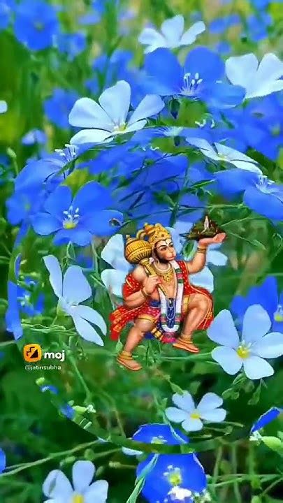 जय बजरंग बली 🙏🙏🙏🙏🙏🙏🙏🙏🙏🙏🙏🙏🙏🙏 Youtube