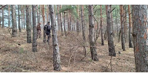 Горски служители в акцията по издирване на Ивана от Дупница