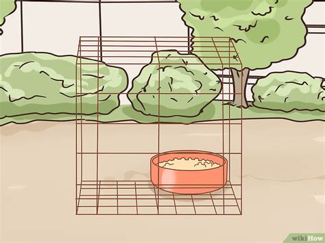 How To Keep Squirrels Away Effective Tips