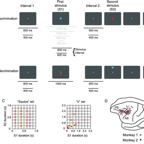 Task Stimulus Durations And Sampled Areas A Duration Task B
