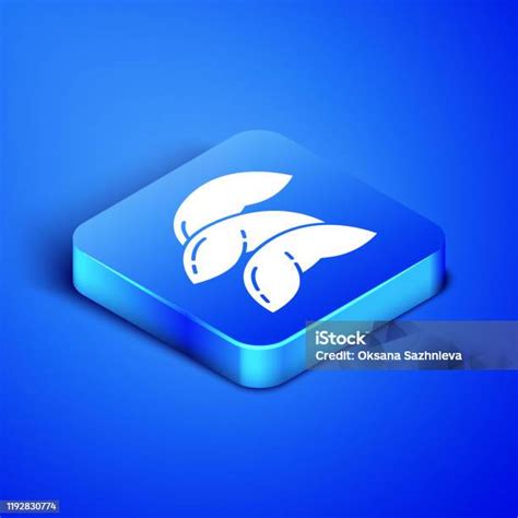 파란색 배경에 격리 된 아이소메트릭 중국어 행운 쿠키 아이콘입니다 아시아 전통 파란색 사각형 버튼입니다 벡터 일러스트레이션 개념에 대한 스톡 벡터 아트 및 기타 이미지