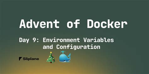 Day 9 Docker Environment Variables And Configuration Dev Community