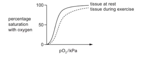 The Graph Shows Two Oxygen Dissociation Curves One For A Tissue At Rest