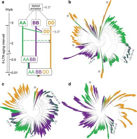 Impact Of Transposable Elements On Genome Structure And Evolution In
