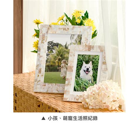 多層珍珠貝殼相框 婚紗照孕婦寫真全家福新生兒寫真質感紀念萌寵生活照照片牆掛牆擺放桌面相框絕美獨家販售 蝦皮購物