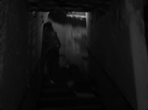 Dadbod Films Stills Frame Set