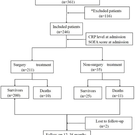 Flowchart Of The Statistical Analysis Patients Were Excluded On