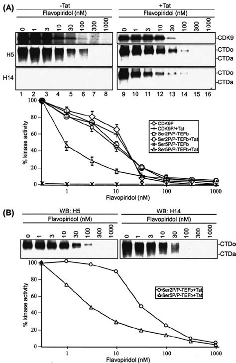 The Tat Induced Kinase Activity Of P Tefb Is Highly Sensitive To Download Scientific Diagram