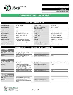 Csd Report Print Out Fill Online Printable Fillable Blank PdfFiller