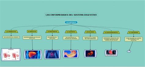 Mapa Conceptual Del Sistema Digestivo