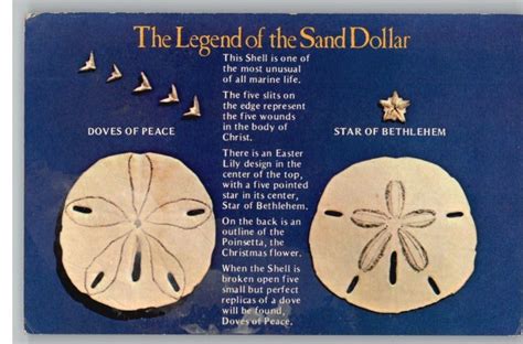 Legend Of The Sand Dollar Printable Printable Templates