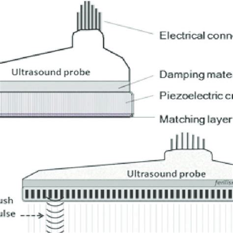 Phased Array Transducers A A Typical Ultrasound Transducer For Download Scientific Diagram