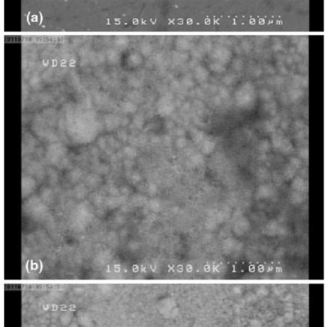 Sem Micrographs Of A The Substrate Surface B Tin Coating Surface At Download Scientific