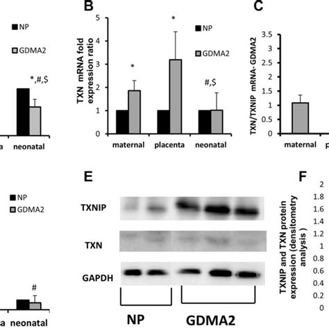 Txnip And Txn Mrna And Protein Expression Mrna Was Isolated From