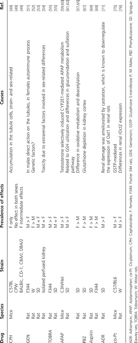 Drug Nephrotoxicity According To Species Strain And Sex Download Table