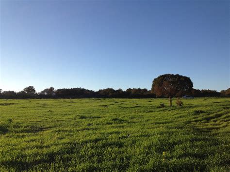 how freecodecamp inspired me to learn math the right way by leone medium