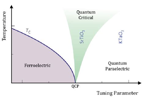 Predicted Phase Diagram For Srtio3 And Related Compounds [19] The Download Scientific Diagram