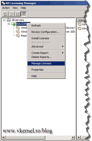 How To Remove RDS CALs From A RD License Server Adrian Costea S Blog