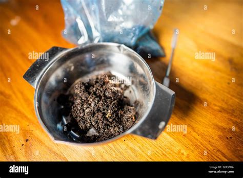 Working In A Soil Lab Iwth Soil Samples Testing A Soil Test In Australia Stock Photo Alamy