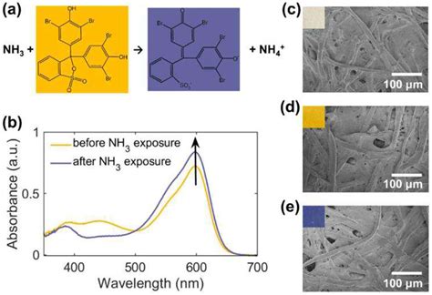 Diffusion Modulated Colorimetric Sensor For Continuous Gas Detection Pmc
