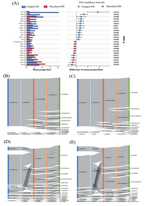Differentiated Analysis Of Enzyme Families A Difference Of Putative