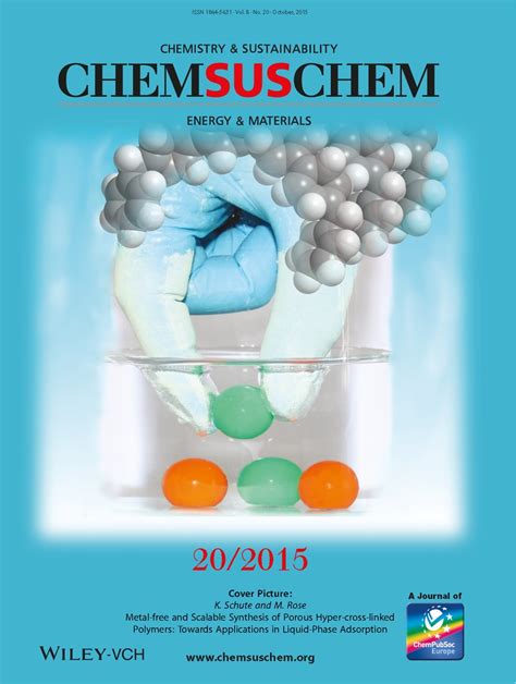 Back Cover Metal‐free And Scalable Synthesis Of Porous Hyper‐cross