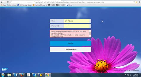 How To Configure Sap Fiori New Login Page