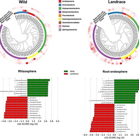 Shuo Jiao Professor Phd Northwest A And F University Yangling College Of Life Sciences